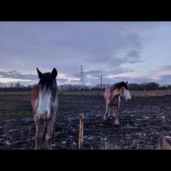 Army Benevolent Fund - Martin Cavanagh
